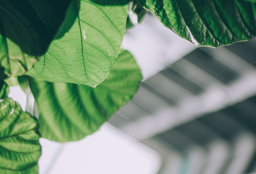 Data4 Environment - DATA4