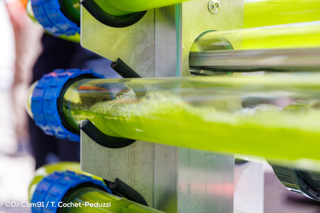 Green energy for data centers: utopian fantasy or the next frontier ...